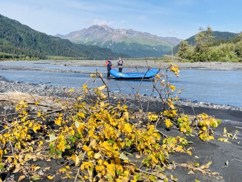 From Seward: Resurrection River Rafting Tour - Why This Tour Offers Good Value