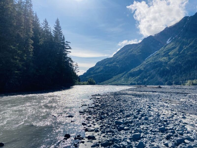 From Seward: Resurrection River Rafting Tour - The Sum Up