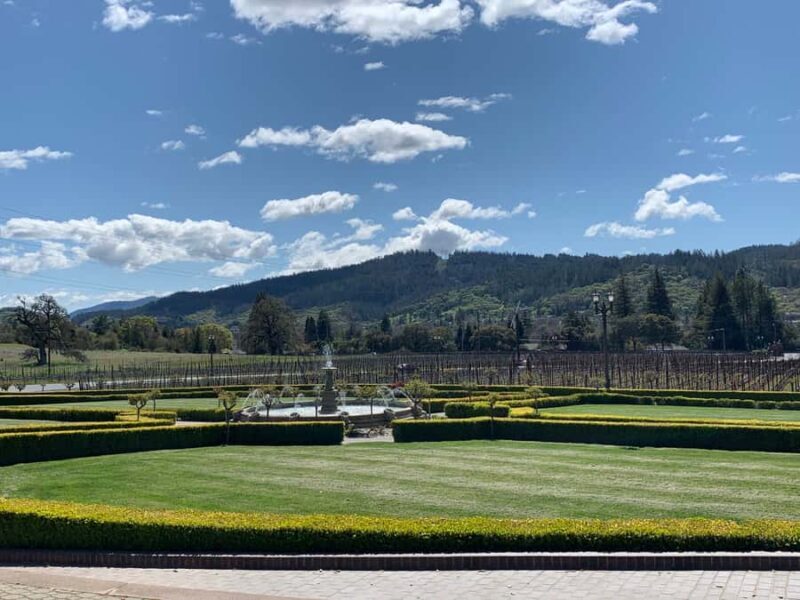 From SF : - 8hr -Napa & Sonoma Private Wine Tour -XL SUV-. - Key Points