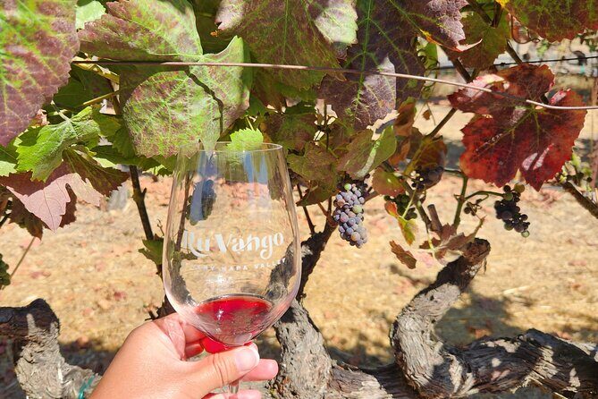From SF: Napa and Sonoma Valley Wine Experience with 3 Wineries - Final Thoughts