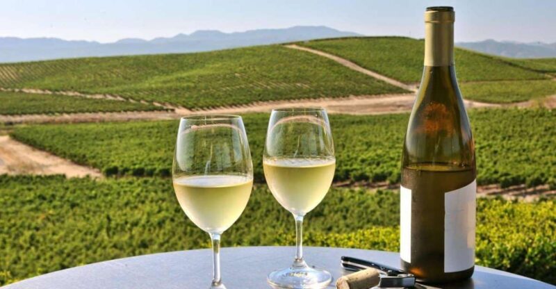 From SFO - Enchanted Napa & Sonoma Wine Tour in SUV - Key Points