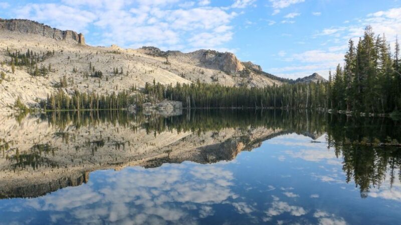 From SFO-Yosemite National Park-Enchanting Full Day Tour - Detailed Breakdown: What to Expect and Why It Matters