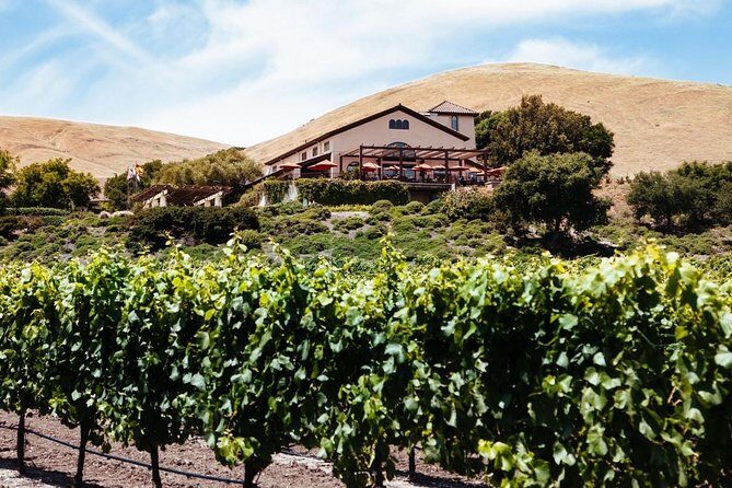 From SF:Sonoma & Napa -8hr Private Wine Tour with Concierge.XLSUV - The Overview: What This Tour Offers