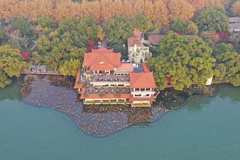 From Shanghai: Hangzhou Private Day Trip by Bullet Train - Final Thoughts