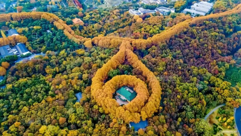 From Shanghai: Nanjing Private Day Trip by High-Speed Rail - Who Should Consider This Tour?