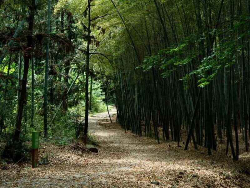 From Shanghai: Xiaoshao Ancient Road Journey - Journey Through the Past and Present on the Xiaoshao Ancient Road