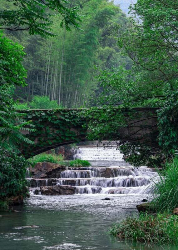 From Shanghai: Yixing Bamboo Sea and Zisha Pottery Day Trip - Final Thoughts