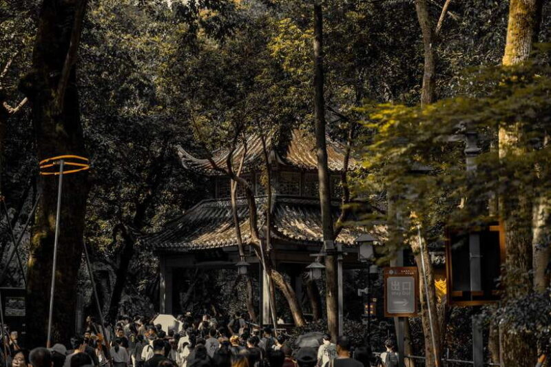 From Shanghai:Hangzhou Temple Zen and Longjing Tea ceremony - Final Thoughts
