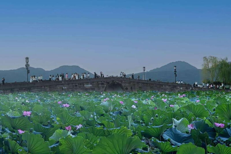 From Shanghai:Hangzhou Temples, Lake Views &Night Market Fun - Who Should Consider This Tour?