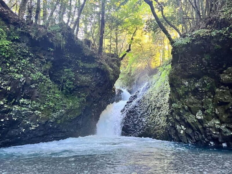 From Shinfuji: Fuji Nature Tour with Guide and Vehicle - The Fuji Trout Farm: Authentic Flavors and Local Life