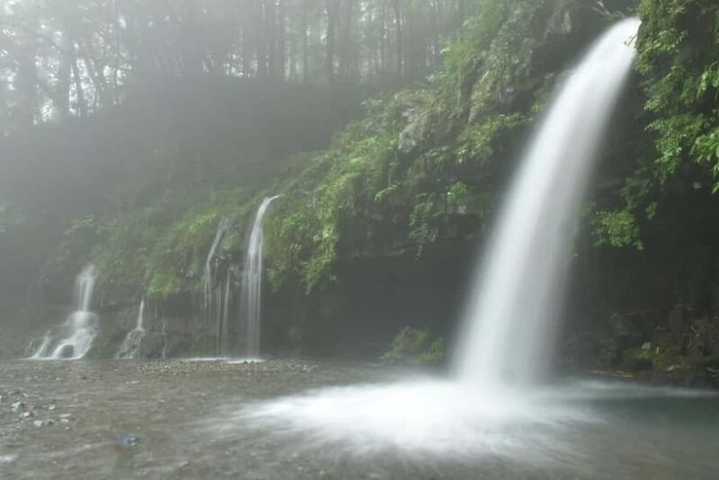 From Shinfuji: Fuji Nature Tour with Guide and Vehicle - Practical Details and Considerations