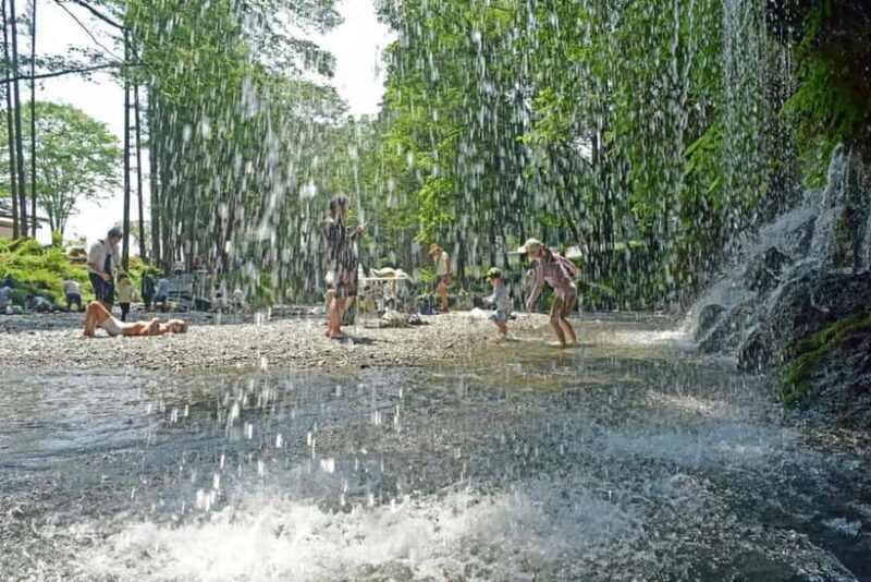 From Shinfuji: Fuji Nature Tour with Guide and Vehicle - What You Need to Know Before Booking