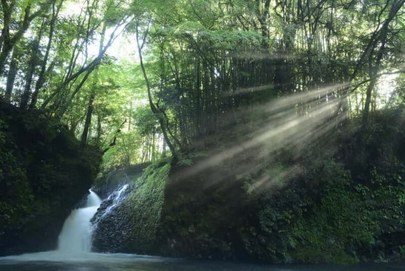 From Shinfuji: Fuji Nature Tour with Guide and Vehicle - Overall Impression