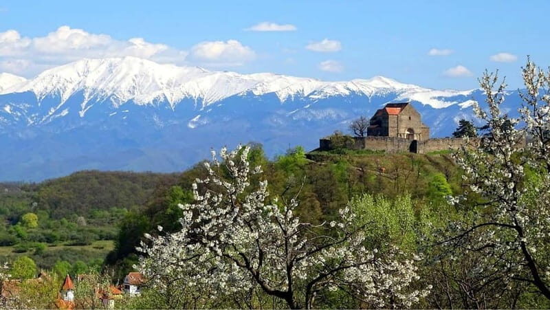 From Sibiu: Blue Line & City Tour Sighisoara - UNESCO - Exploring the Journey from Sibiu to Sighisoara