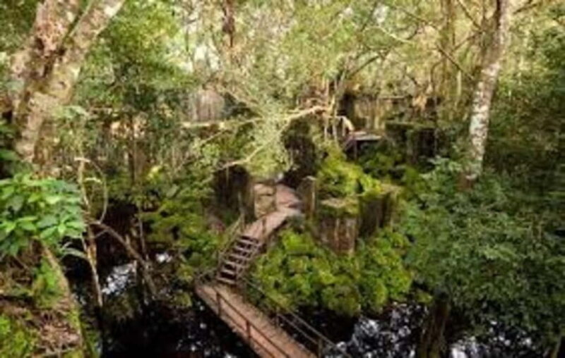 From Siem Reap: Beng Mealea and Kamphong Phluk Day Tour - A Closer Look at the Tour Experience