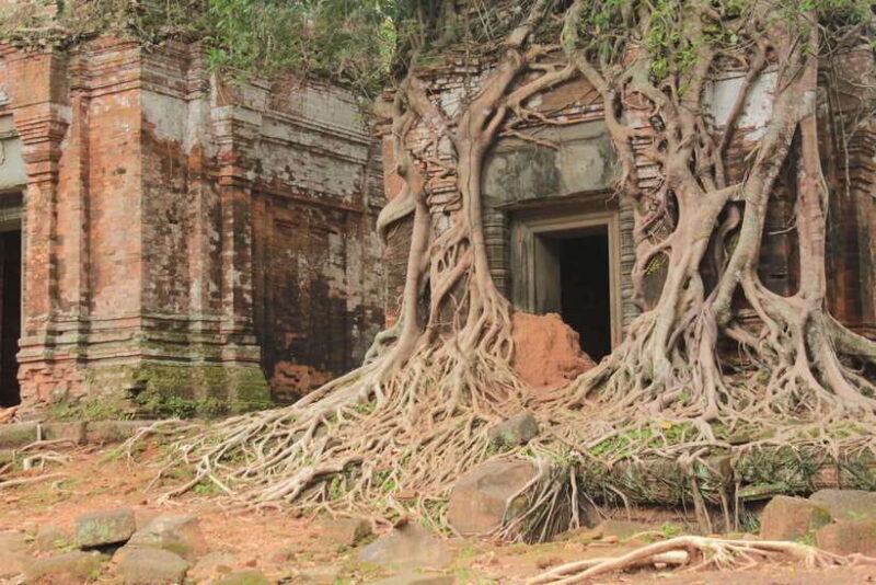 From Siem Reap: Beng Mealea and Koh Ker Temple Day Trip - Key Points