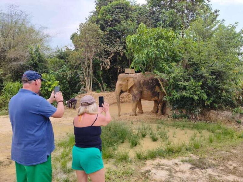 From Siem Reap: Elephant Sanctuary Experience with Transfers - Key Points