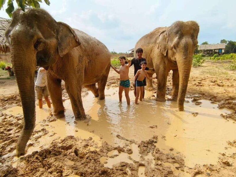 From Siem Reap: Elephant Sanctuary Experience with Transfers - Practicalities and Considerations