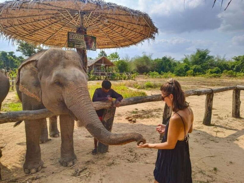 From Siem Reap: Elephant Sanctuary Experience with Transfers - FAQ Section