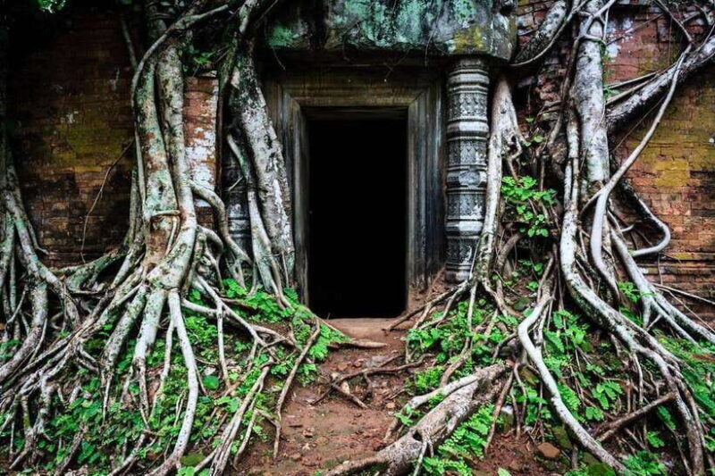 From Siem Reap: Koh Ker and Beng Mealea Temples Tour - Final Remarks