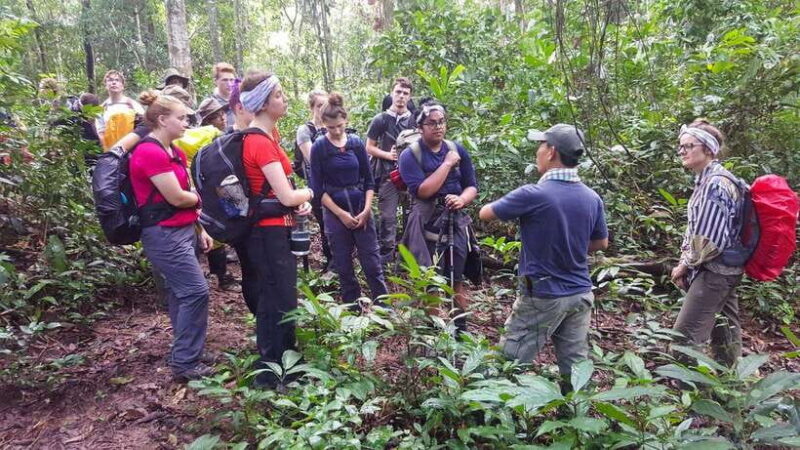 From Siem Reap: Phnom Kulen National Park Trekking Tour - The Sum Up