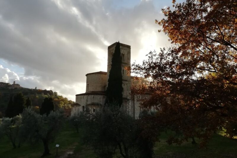 From Siena: Brunello di Montalcino Guided Wine Tour W/ Lunch - Key Points