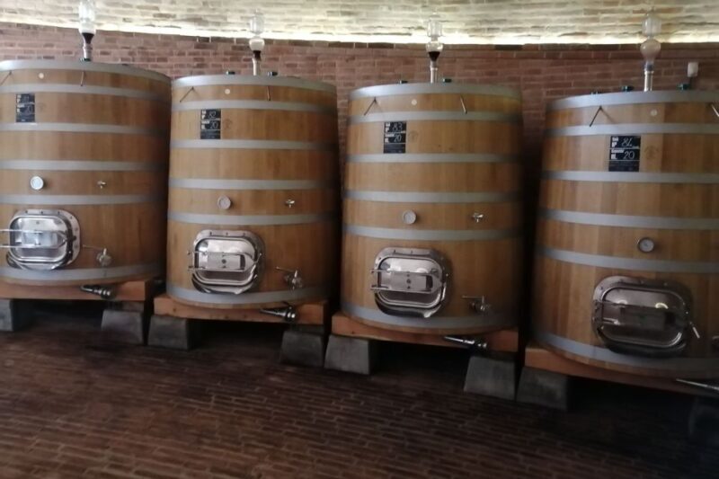 From Siena: Brunello di Montalcino Guided Wine Tour W/ Lunch - Who Will Love This Tour?