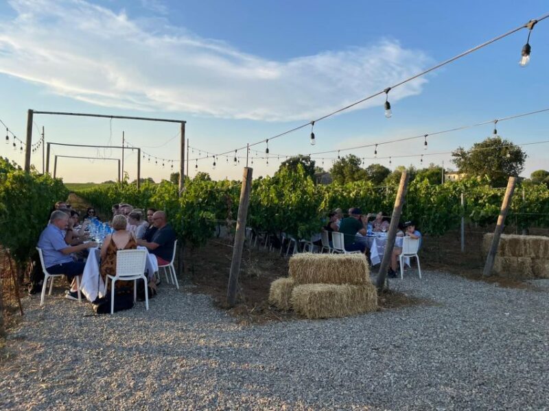 From Siena: Chianti and Castles Tour with Wine Tastings - The Itinerary and What It Means for You