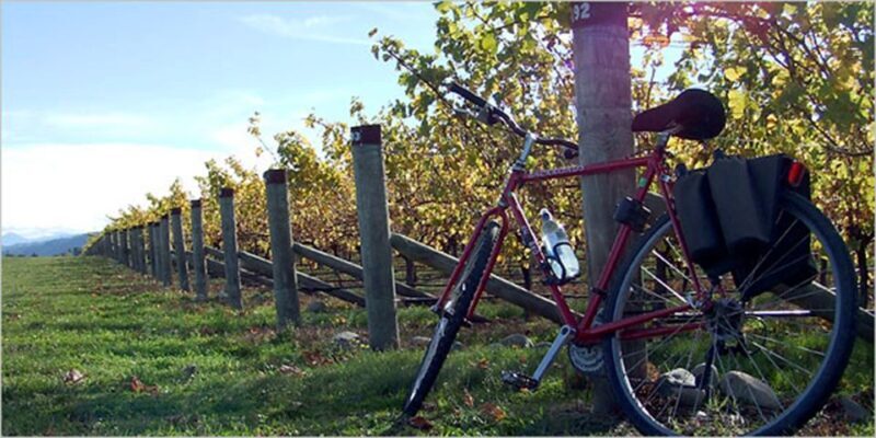 From Siena: Chianti Countryside E-Bike Tour w/ Lunch & Wine - Authenticity and Reviews