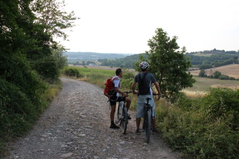 From Siena: Chianti Countryside E-Bike Tour w/ Lunch & Wine - Who Should Consider This Tour?