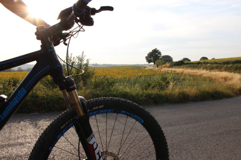From Siena: Chianti Countryside E-Bike Tour w/ Lunch & Wine - Final Thoughts