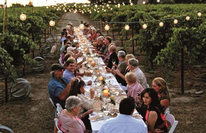 From Siena/Chianti: Dinner & Drinks in the Chianti Vineyards - Key Points