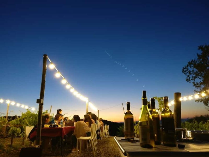 From Siena/Chianti: Dinner & Drinks in the Chianti Vineyards - An Inside Look at the Itinerary