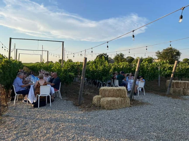 From Siena/Chianti: Dinner & Drinks in the Chianti Vineyards - Practical Considerations