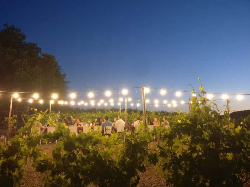 From Siena/Chianti: Dinner & Drinks in the Chianti Vineyards - Summary of Who Will Appreciate This Tour