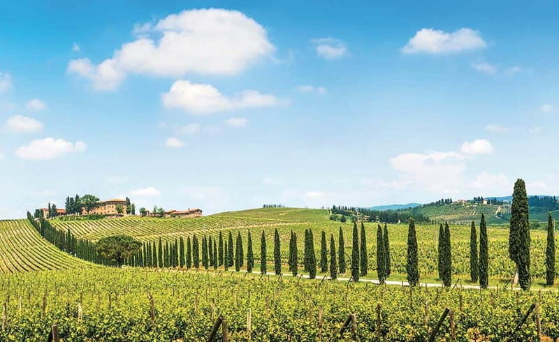 From Siena: Chianti Electric Bike Tour - An In-depth Look at the Tour Experience