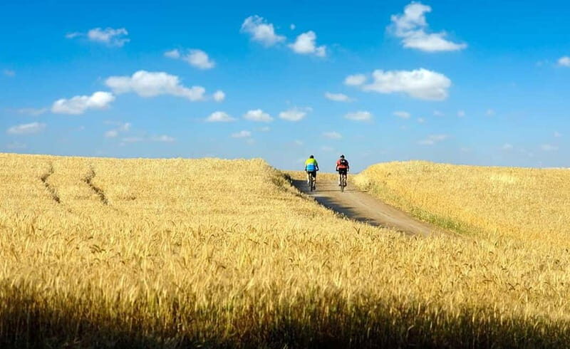 From Siena: Chianti Electric Bike Tour - Authenticity and Experiences that Stand Out