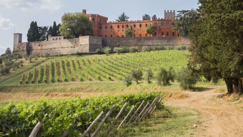 From Siena: Chianti Wine Tour with Lunch - Discovering Tuscany’s Iconic Wine Region