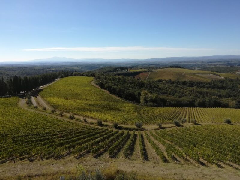 From Siena: Chianti Wine Tour with Lunch - The Value of Guided Tasting and Local Expertise