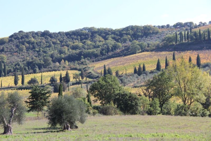 From Siena: Chianti Wine Tour with Lunch - Authenticity and Personal Touches