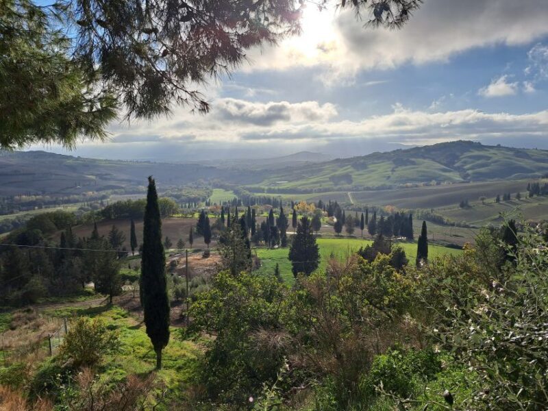 From Siena: Pienza and Montepulciano Small-Group Tour - Who’s This Tour Best For?
