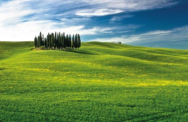 From Siena: San Gimignano, Chianti, and Montalcino Day Trip - An In-Depth Look at the Experience