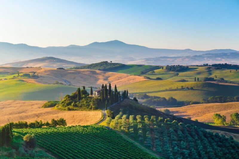 From Siena: Tuscany Hills Wine Tour - Introduction