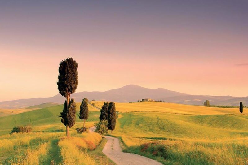 From Siena: Tuscany Hills Wine Tour - FAQ