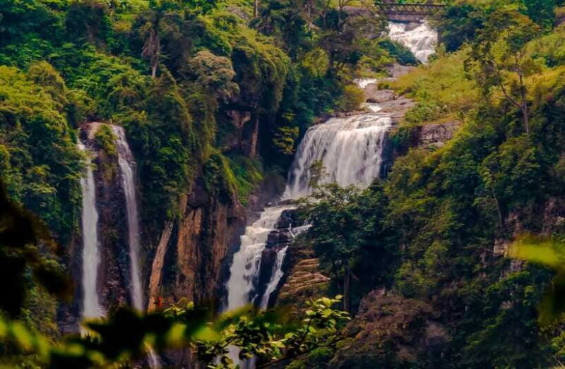 From Sigiriya: 6-Day Sri Lanka Tour with Yala Safari - FAQ