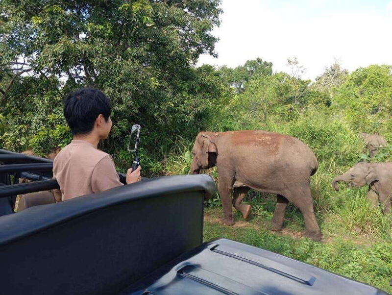 From Sigiriya/Habarana: Minneriya National Park Safari - In-Depth Look at the Itinerary