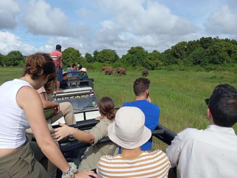 From Sigiriya/Habarana: Minneriya National Park Safari - Summary & Final Thoughts