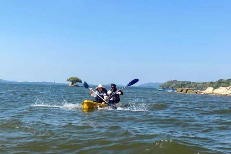 From Sigiriya: Kayaking Through Floating Flowers at Kanthale - Practical Details and Value