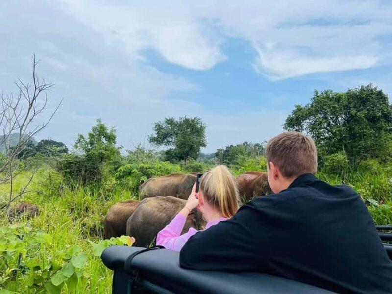 From Sigiriya: Minneriya National Park Eco Jeep Safari - Authenticity and Ethical Considerations