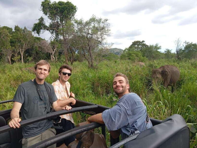 From Sigiriya: Minneriya National Park Half-Day Jeep Safari - Key Points